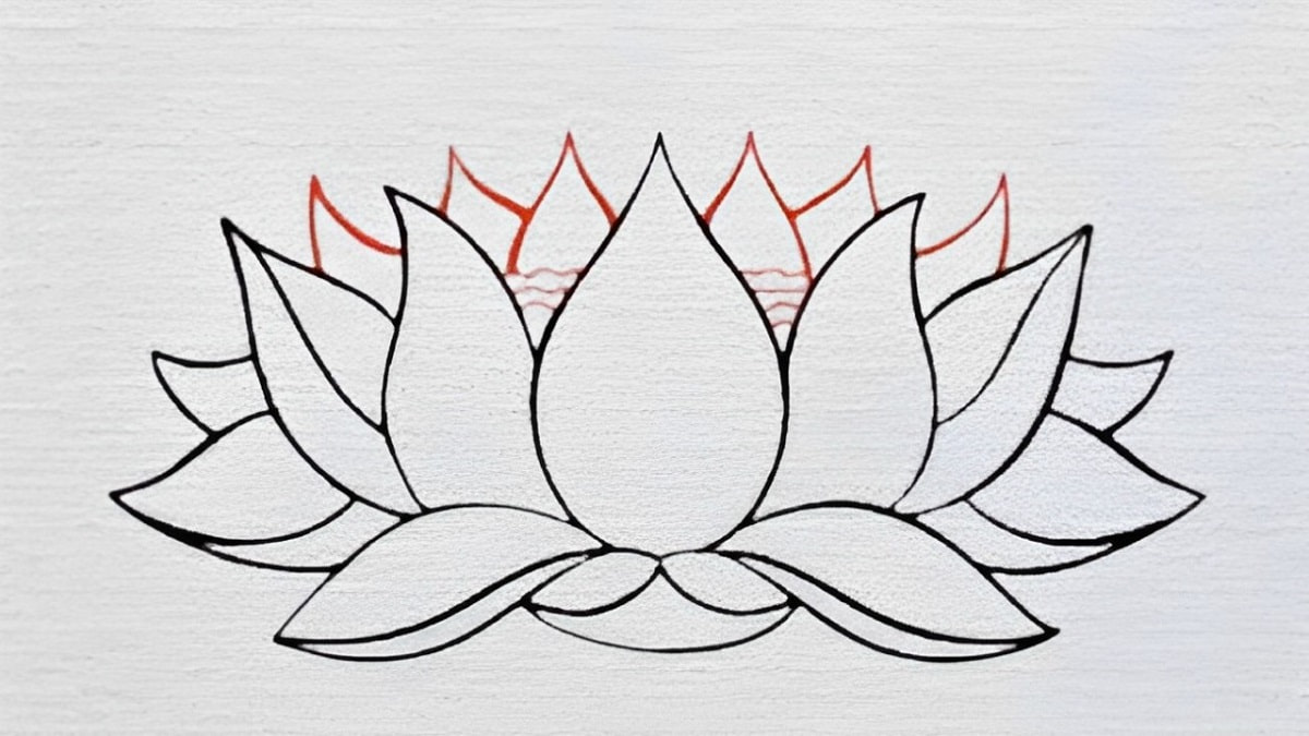 Vẽ hoa sen: 20 cách vẽ đẹp, đơn giản dễ dàng thực hiện